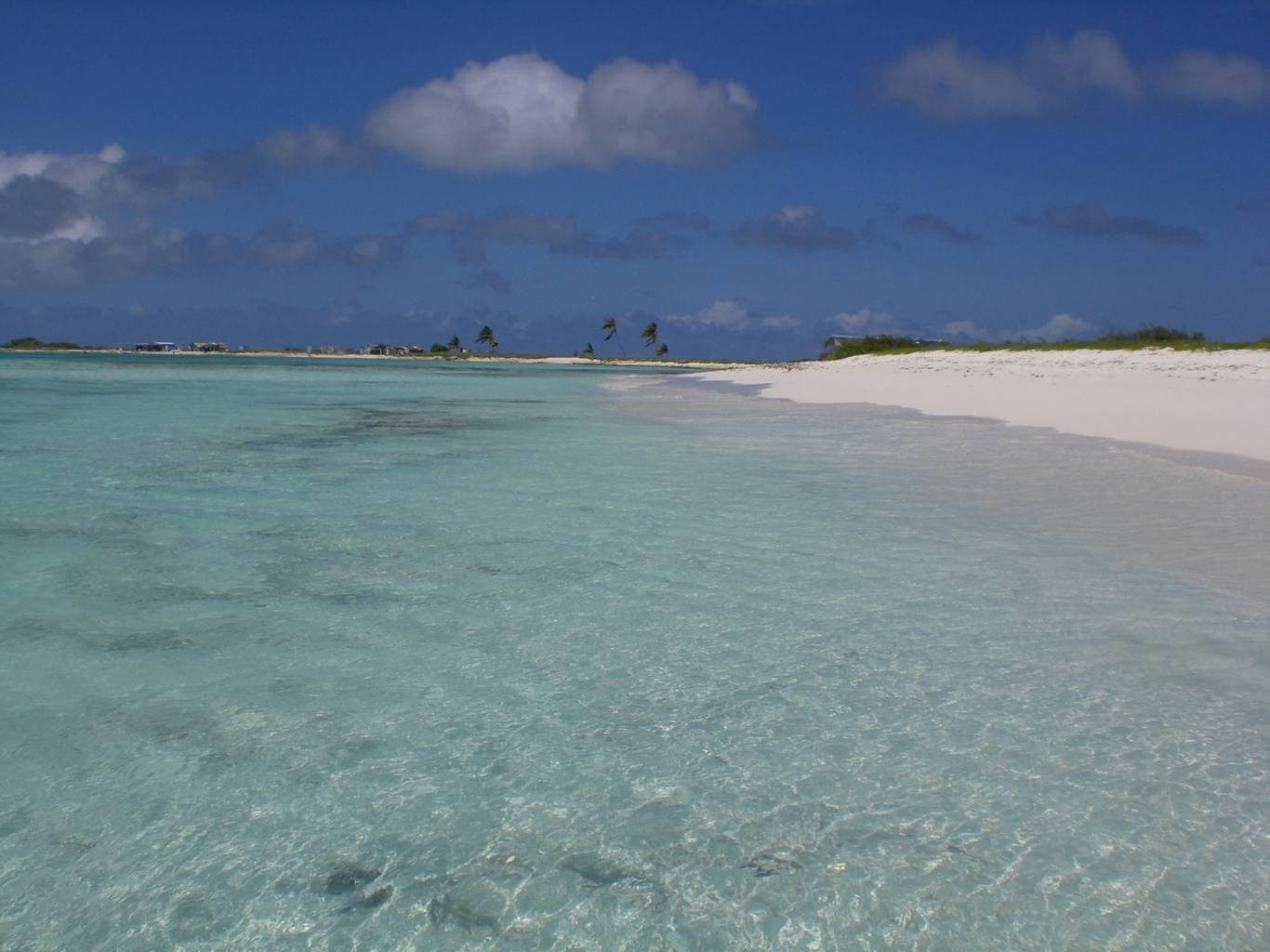 Ecuador 2015: Venezuela, Los Roques