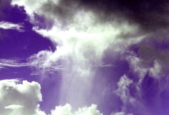 Musings of a Warrior Princess for Christ