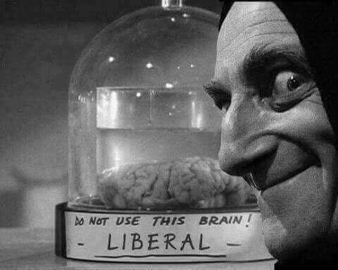 Salisbury News: Abby Normal