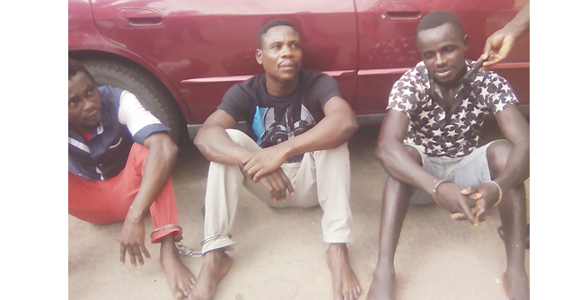 Juliana Francis Blog: ‘I didn’t organise robbery of my landlord’