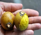 Topônimos Tupis e seus significados