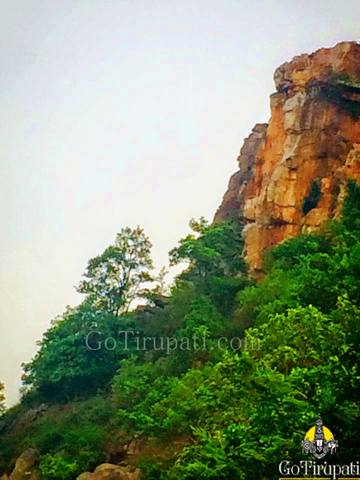 GoTirupati: Garuda Rock Hill and Venkateswara Swamy Hill Tirumala Tirupati