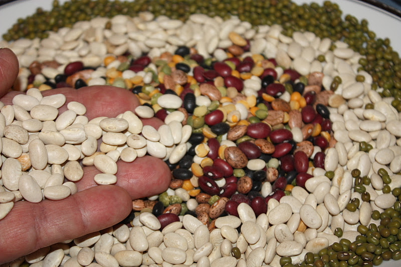 Why grow heirloom beans?
