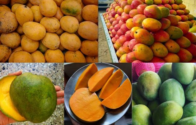 Where the Heck is Marinduque?: Huge Red Mangoes from Mexico ar in Season