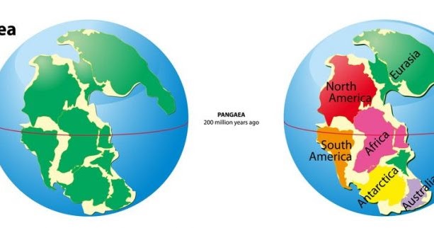 Permian Period: Climate, Animals & Plants ~ Geography in Action