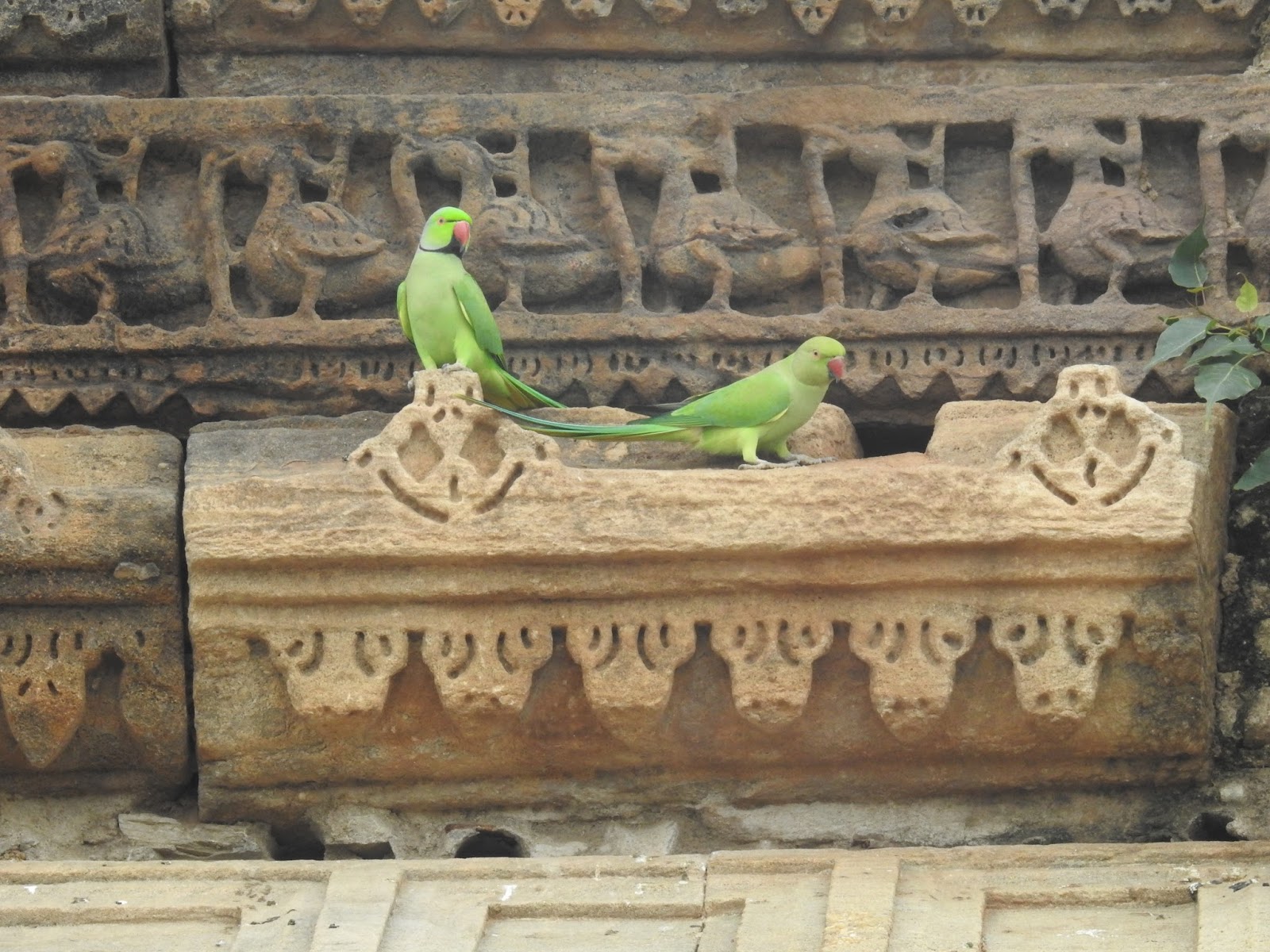 डोंगर भाऊ ( Dongar Bhau ): डभोईची लढाई आणि किल्ला (Battle of Dabhoi ...