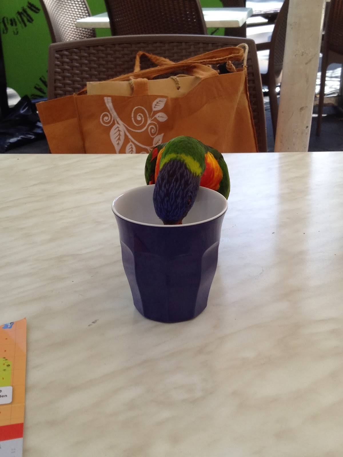 Nancy: Sydney (January 4)