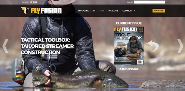 The Show Me Fly Guy: Fly Fusion