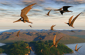 Ropen Cryptid Dari Papua Nugini ~ Life Is A Biggest Mystery