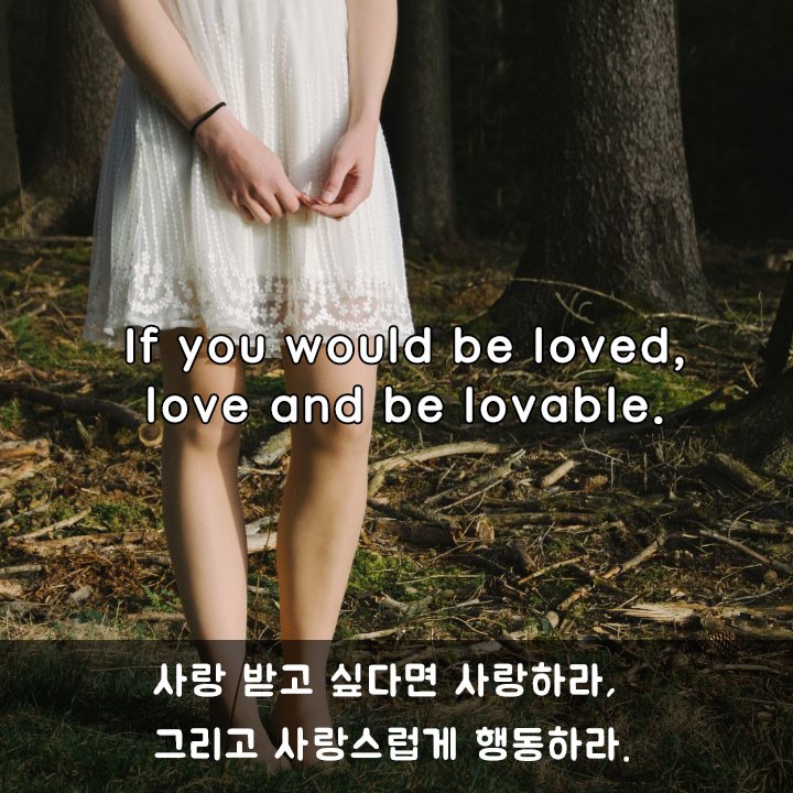 If you would be loved, love and be lovable. - famous writing quotes ...