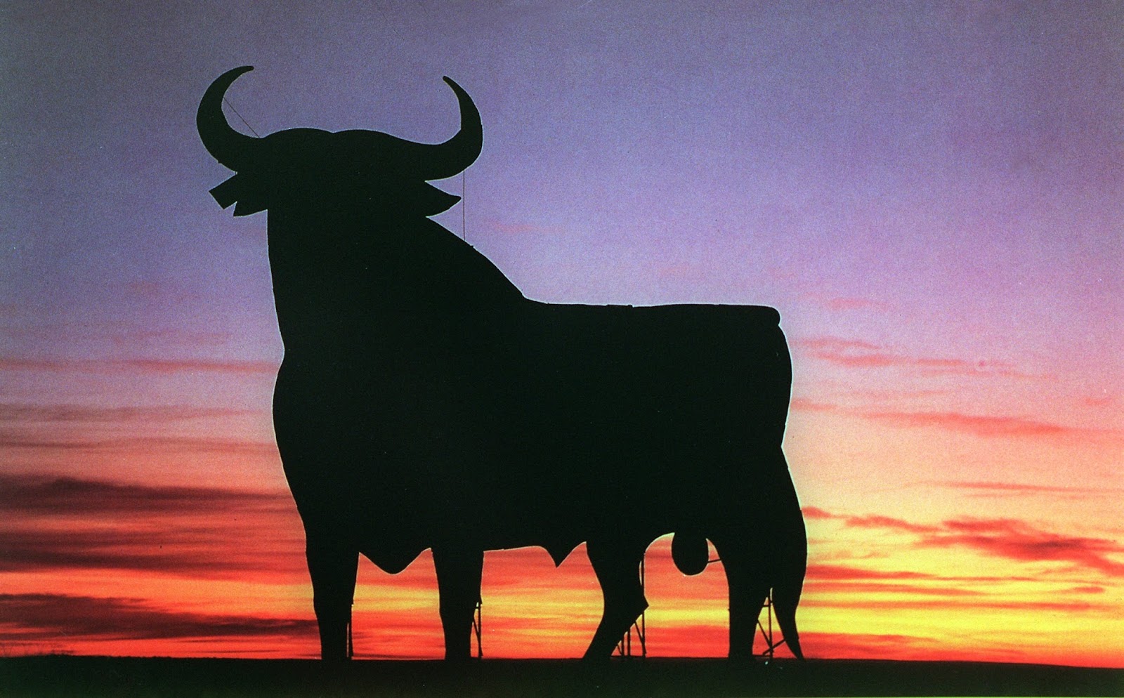 VUELTA AL RUEDO: El Supremo dice que el toro no es un símbolo oficial ...