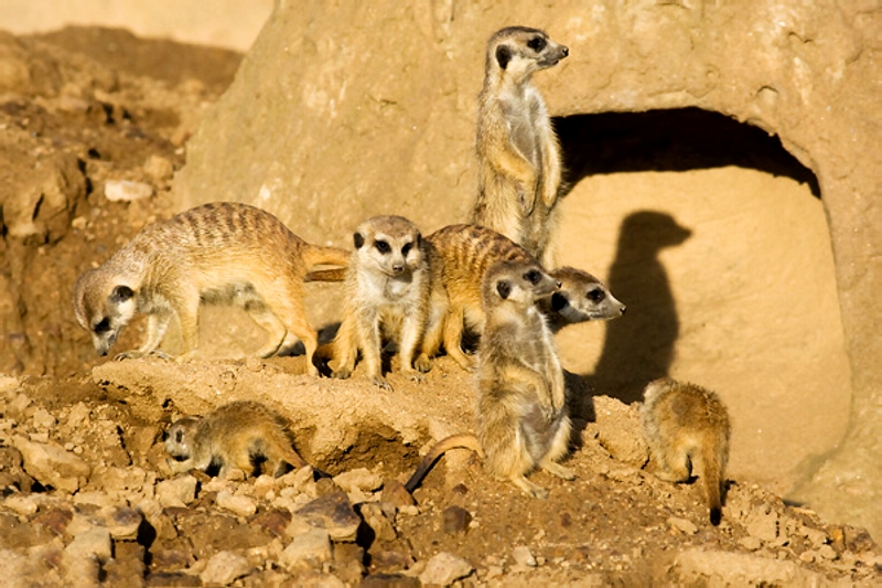 Natureza, Perfeição sem tamanho...
