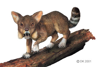 Hronoblog: 55.8-33.9 млн лет назад.Эпоха эоцена.Жизнь 5.