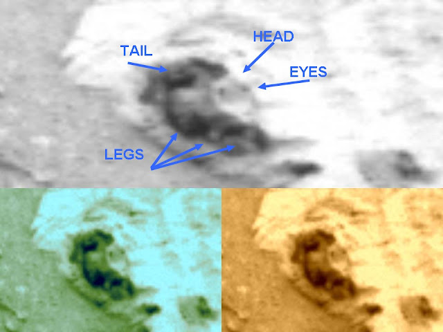 Latest Curiosity Photograph Shows Another "Mars Rat"? - June 21, 2013