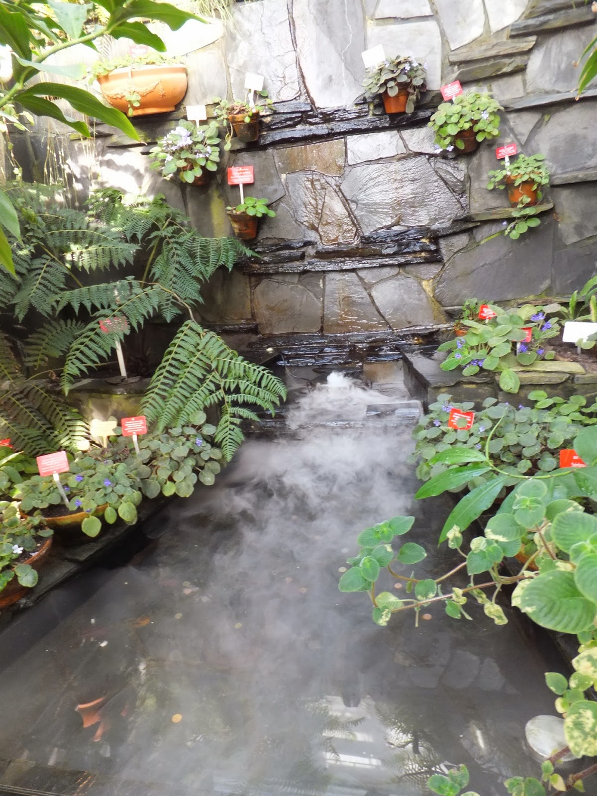 Annen jutut: KASVITIETEELLINEN PUUTARHA HELSINKI 6