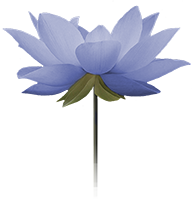 ༄ཐར་ལམ་། Tharlam - Stumbling toward Enlightenment