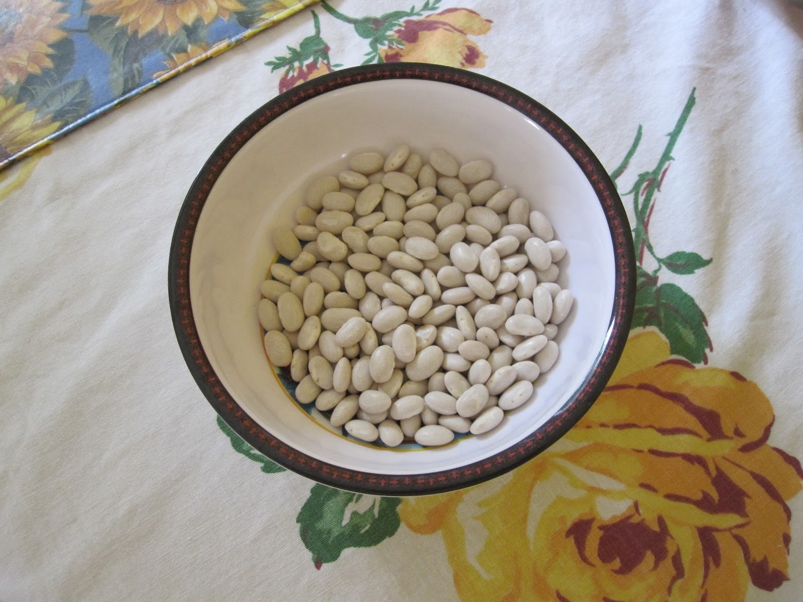 Bobbi Buller: Great Northern Beans