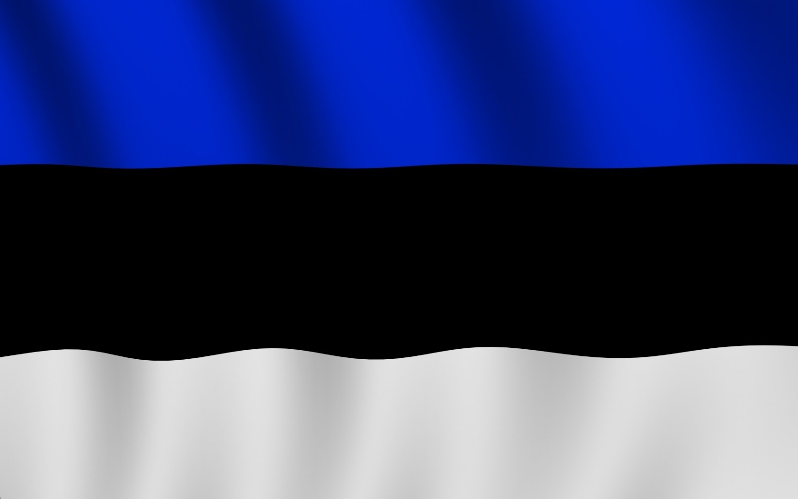 Country Flag Meaning: Estonia Flag Pictures