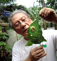 Naturalist's World - Dr Abe V Rotor : Beware of the Higad!