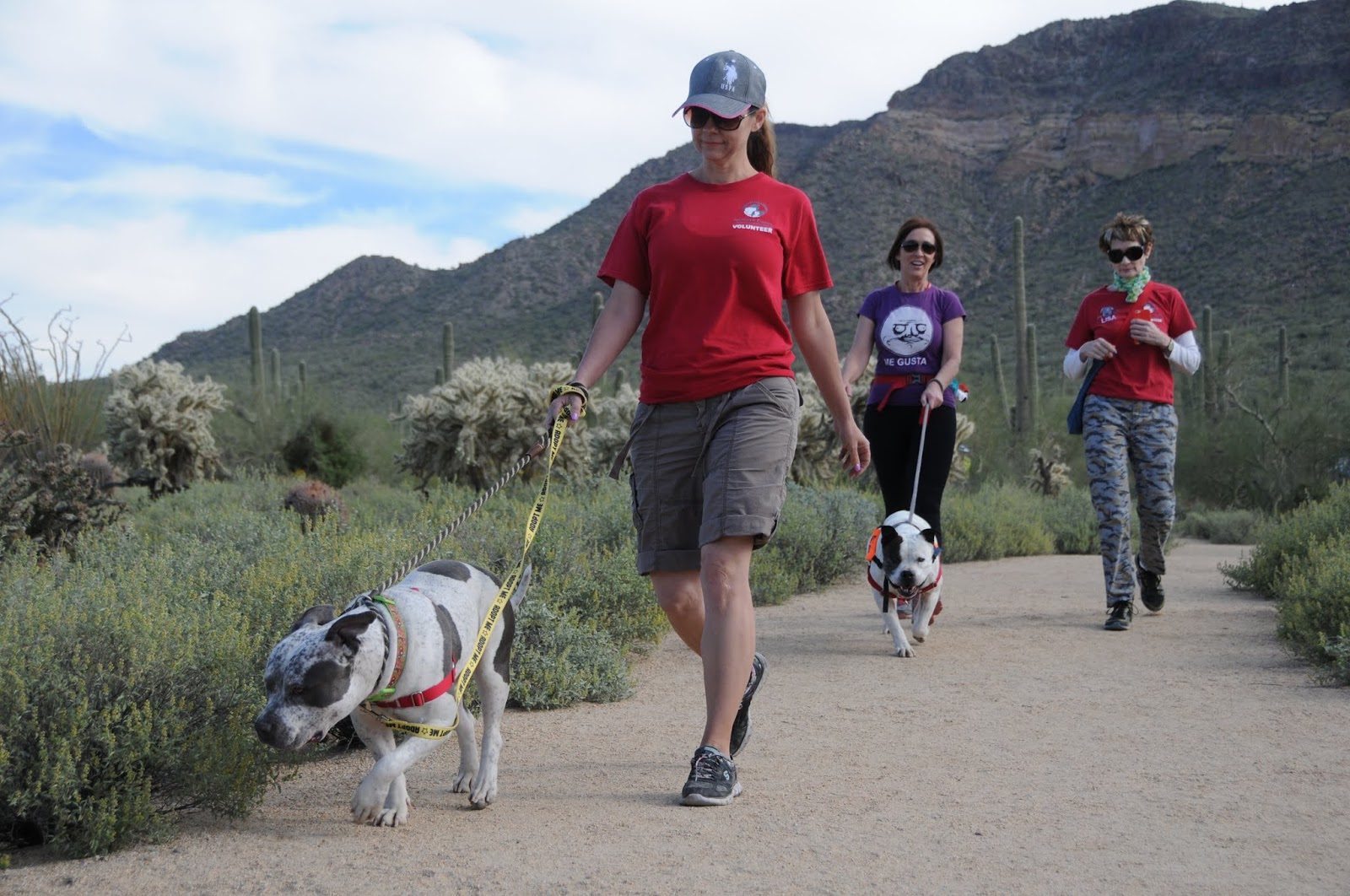 Arizona Hiking: WAG & WALK DOG HIKE: Season Five is Here!