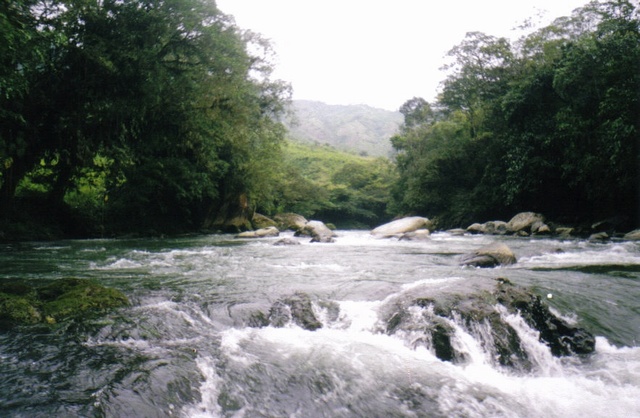 EDUCANDO EN VALORES UN ESPACIO PARA PODER VIVIR EN ARMONÍA