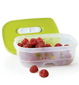 Aureve Passions Tupperware: Les Intelli frais