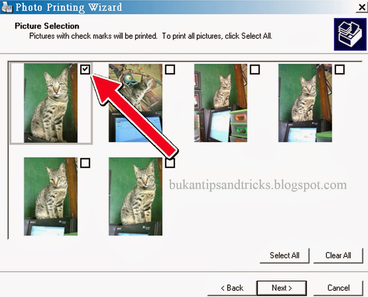 January 2014 | DUNIA CETAK FOTO