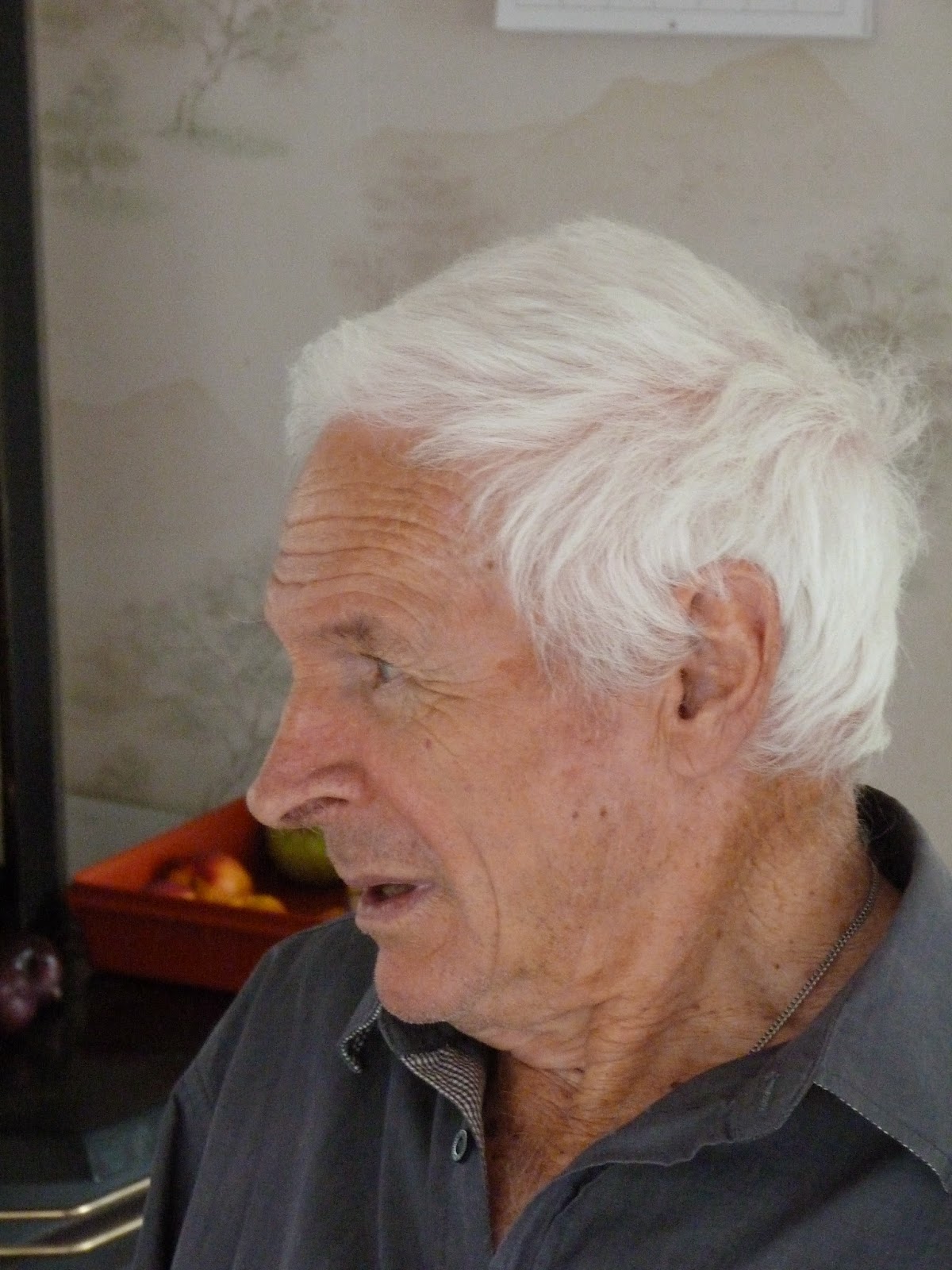 Woolshed 1: New Zealand agricultural history. No 20. Importing exotic ...