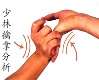 Isshin - Concentration the Art: The practice and study of small joint ...