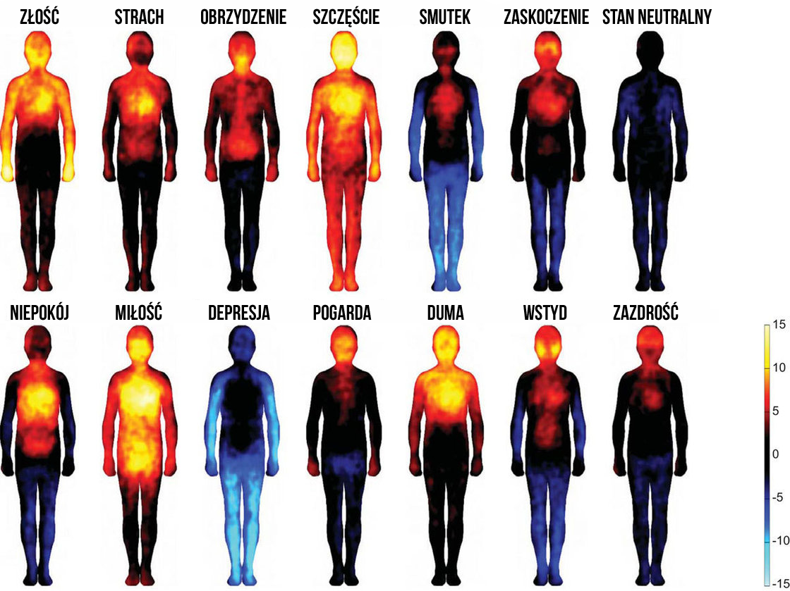 Pomoc psychologiczna: GDZIE odczuwamy emocje?