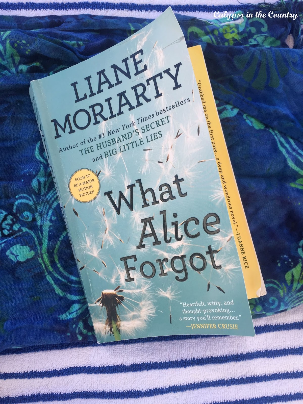 3 Great Books to Read this Summer - Calypso in the Country