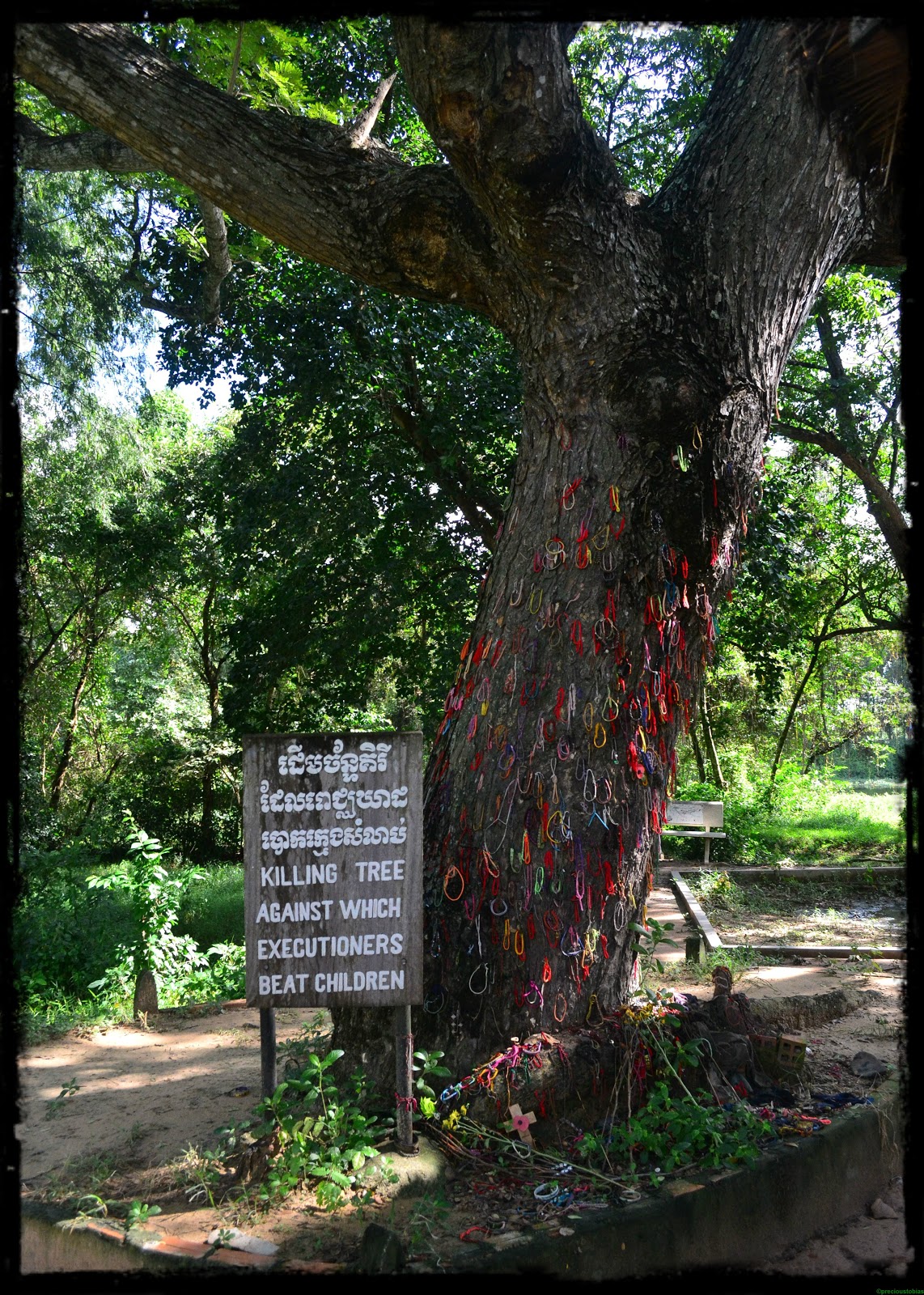 Random Reflections, Rants & What-Nots: Phnom Penh Killing Fields & S - 21