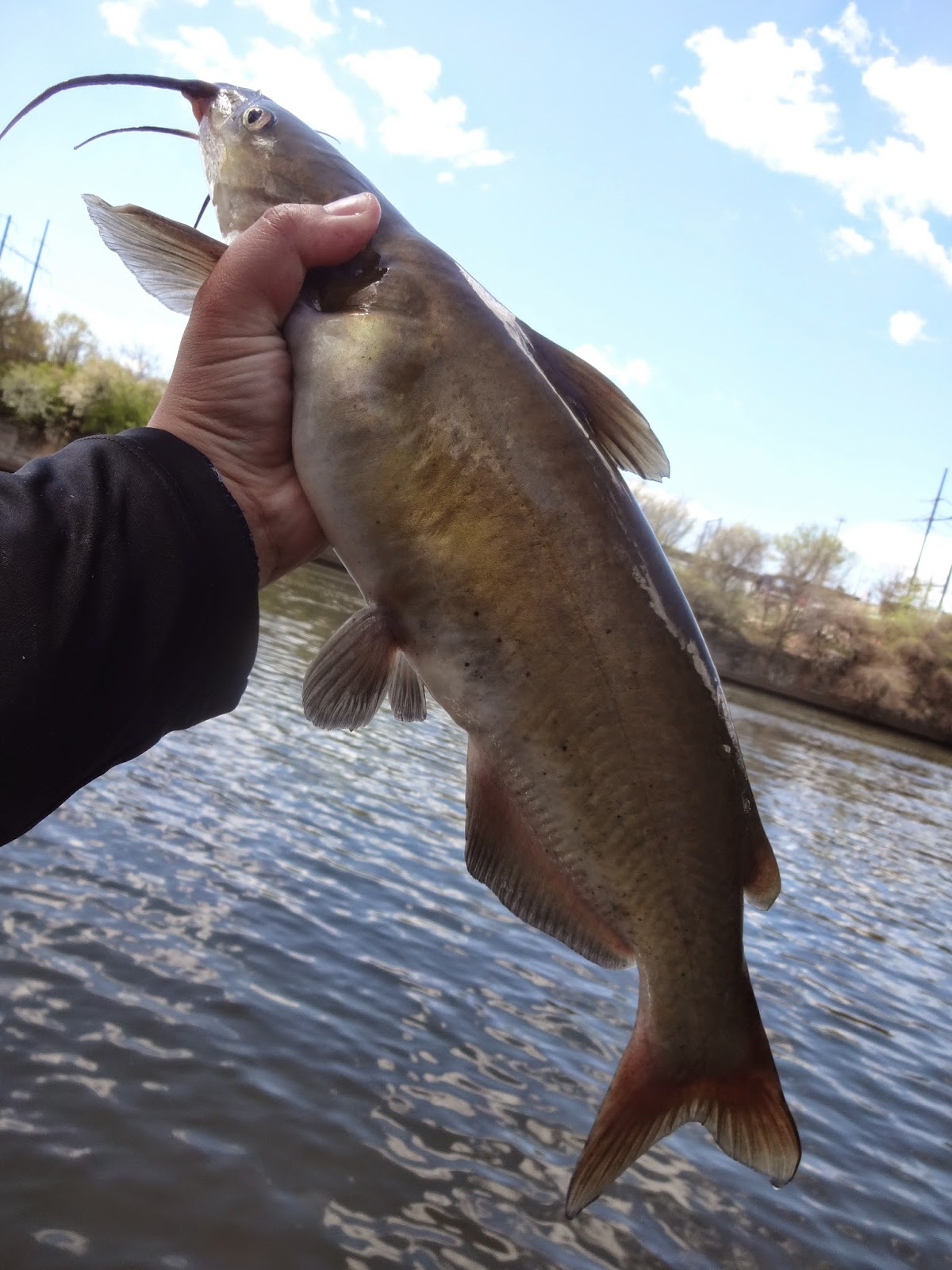 Extreme Philly Fishing: April Fishing Sessions: 04/28: Fishing for ...