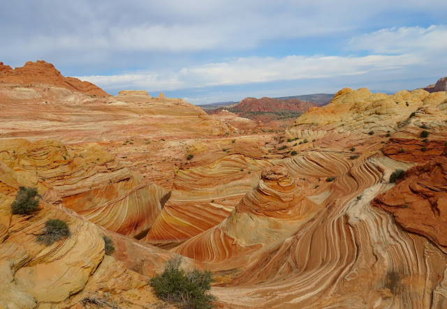 Where's Liz? 2016: The WAVE, Kanab, UT