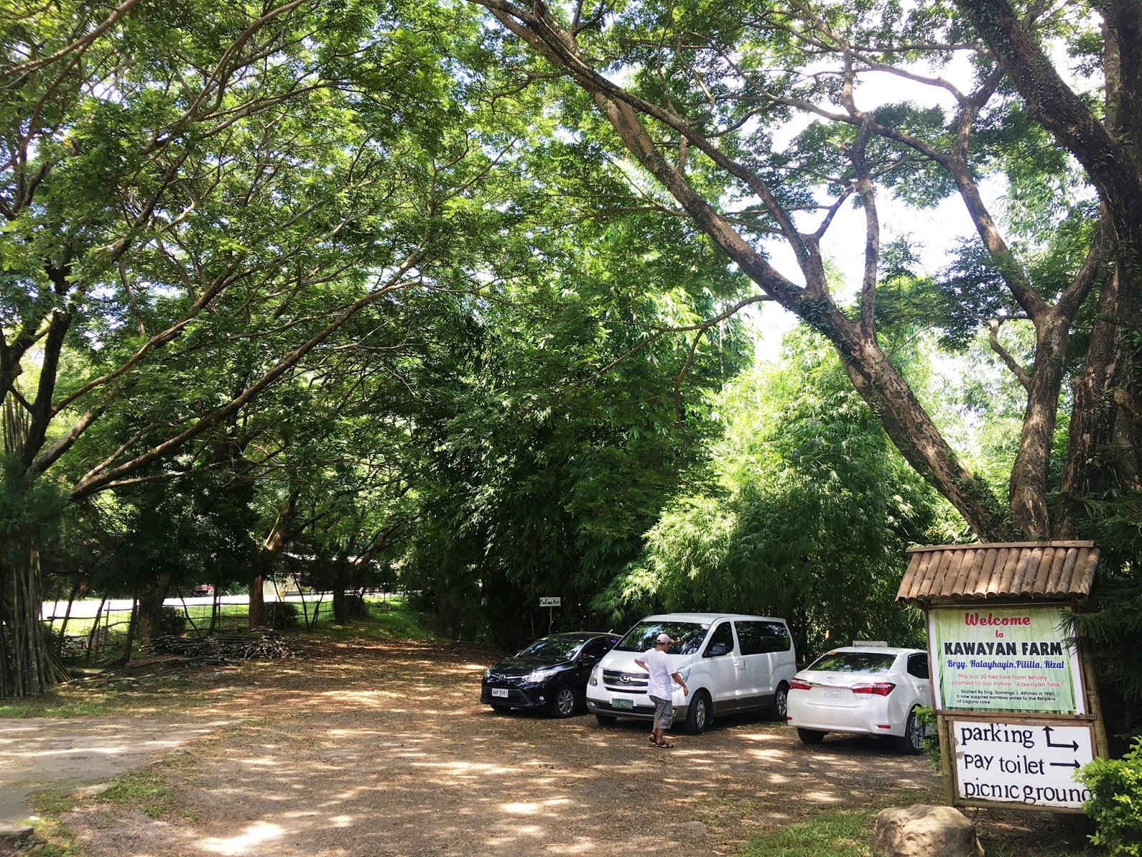 Bicolano Penguin: KAWAYAN FARM RESTAURANT: A Pleasant Surprise in the ...