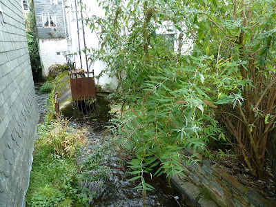 The Faery Folklorist: Cutty Dyer, Ashburton