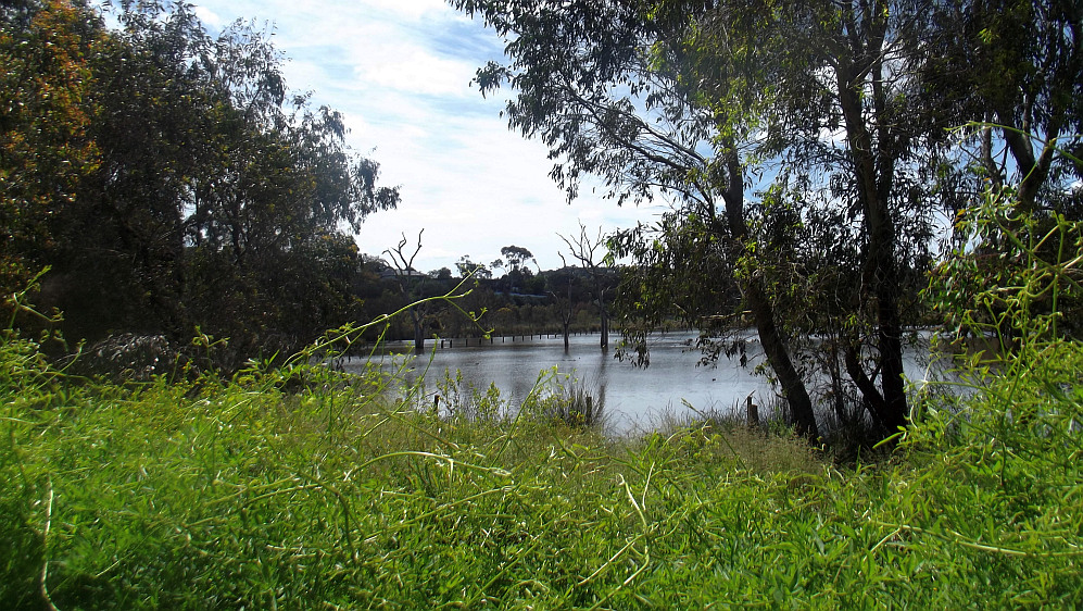 TRACKS, TRAILS AND COASTS NEAR MELBOURNE : Exploring the Banule Swamp ...