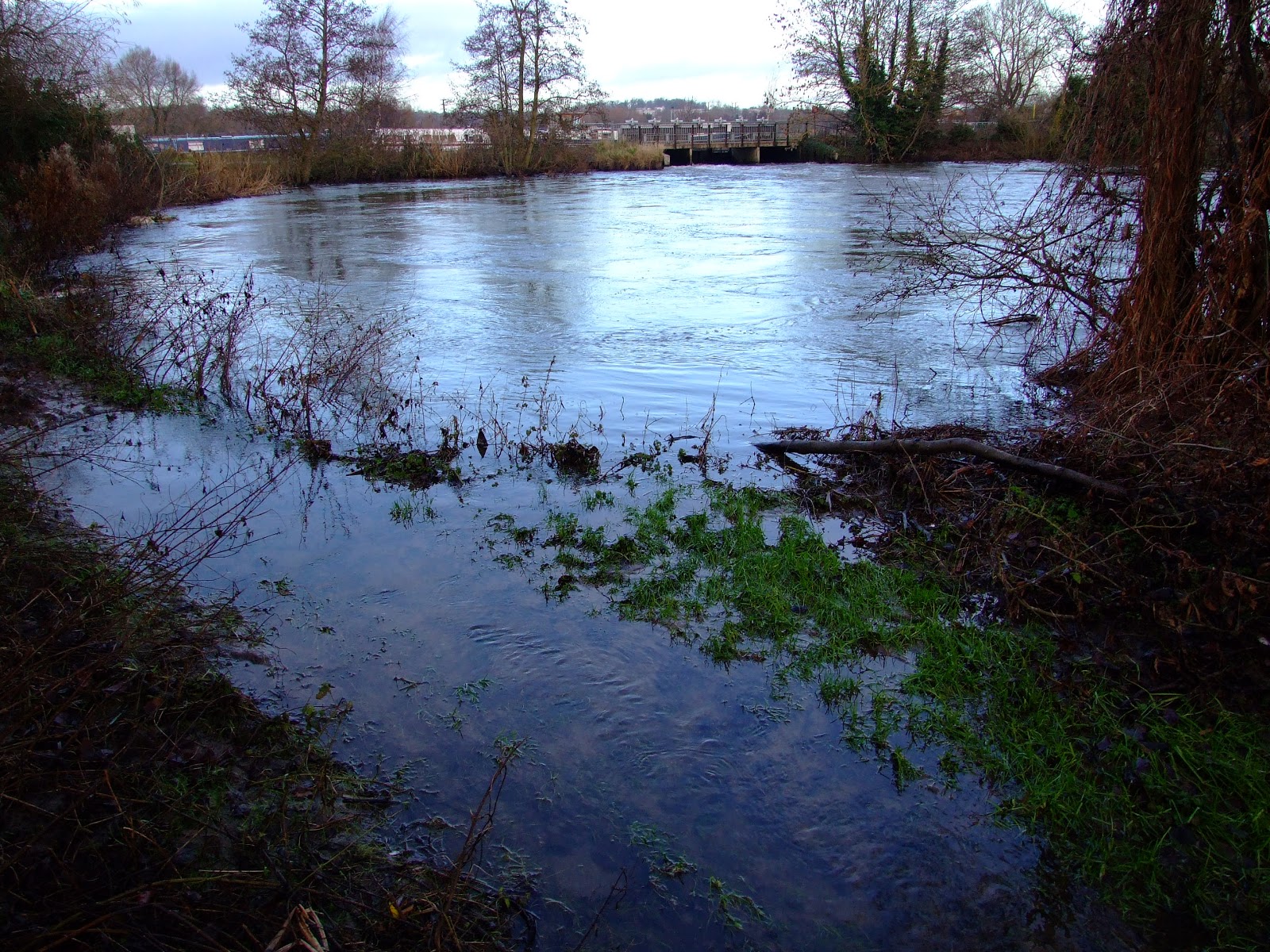 Canoeing and Kayaking on The River Kennet: Christmas paddling on the ...