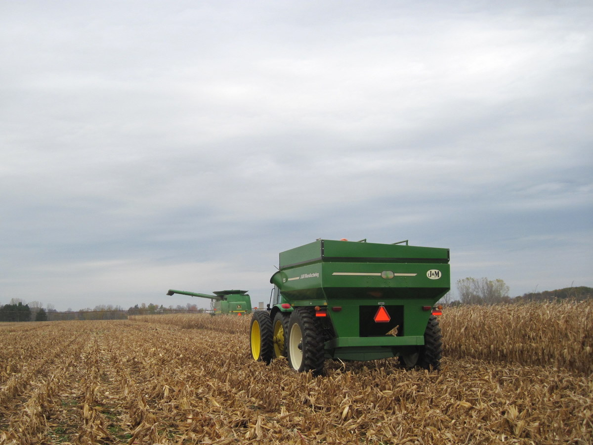 Land of LIQUID: More Corn Harvest...(What, You Were Expecting Maybe ...