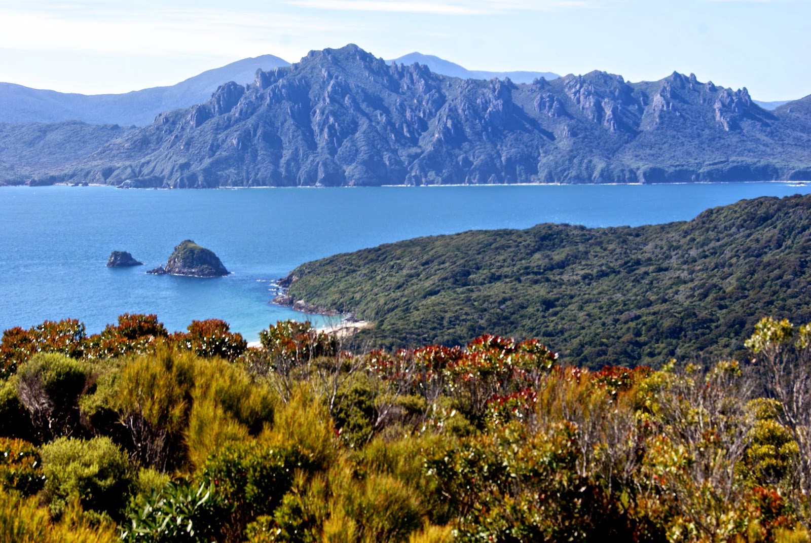 WanderLust Kaitlyn Jayne: Tales from Codfish Island (Whenua Hou)