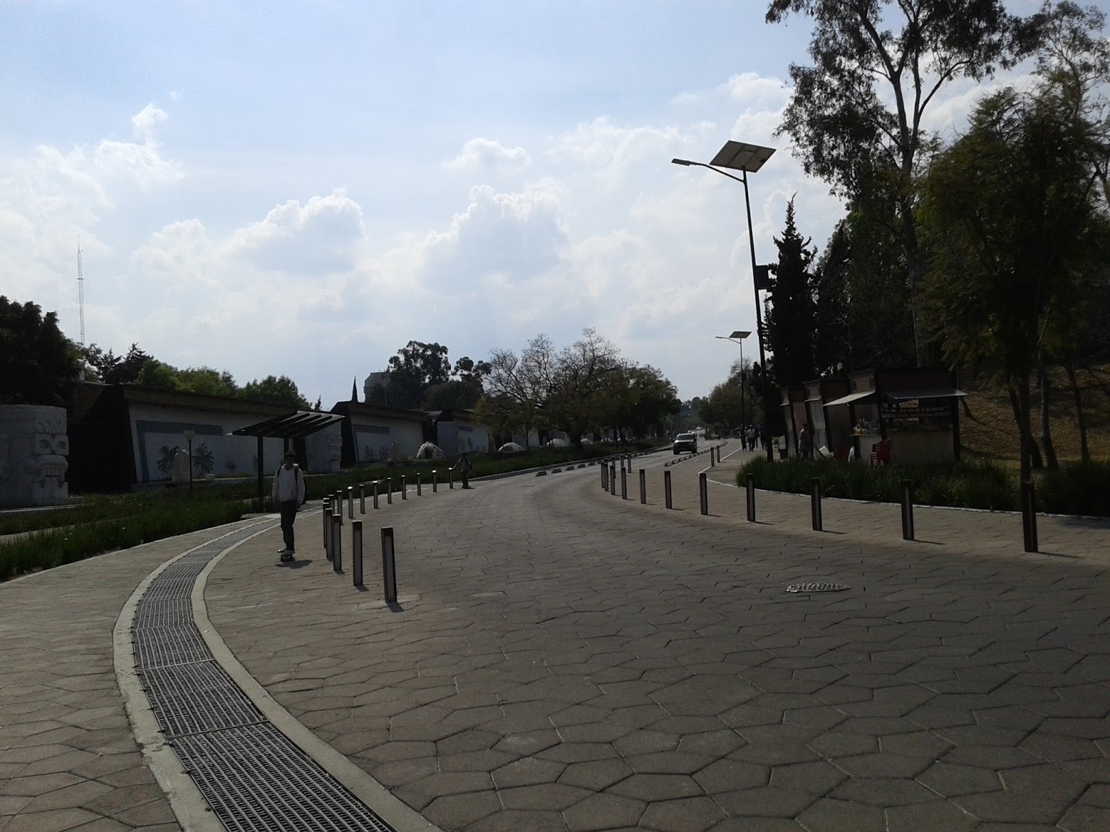 Bosque de Chapultepec. 2° Sección