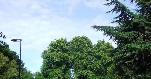 Photographs Of Newcastle: Gosforth Central Park