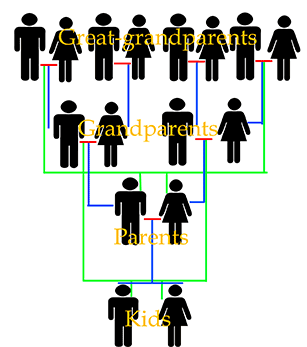 TransGriot: How Do You Identify As Trans On Your Family Tree?