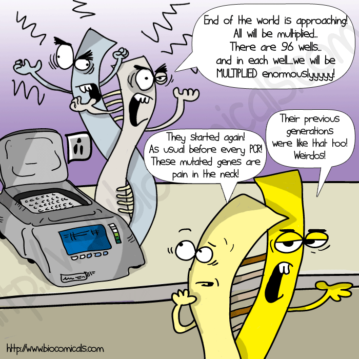 Dna Sequencing Cartoon