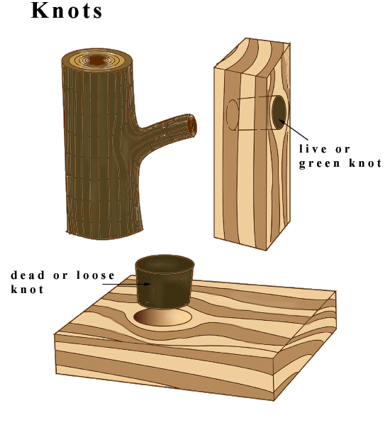 Bansal's Wiki: Defects in wood