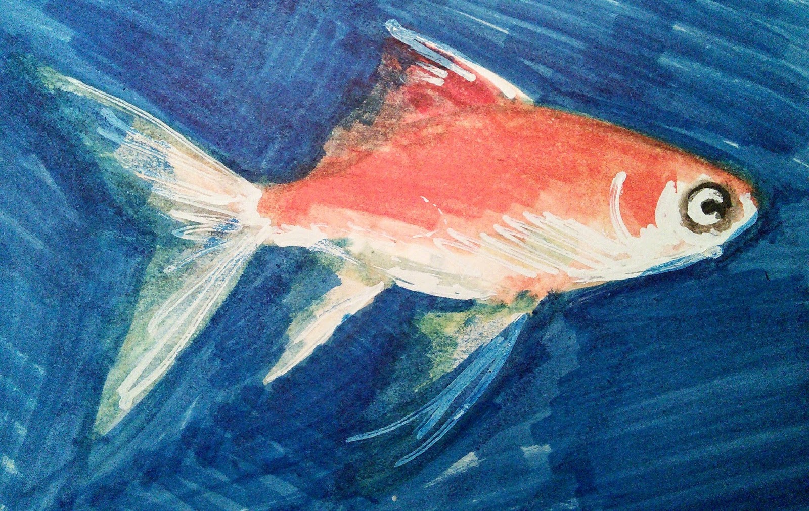 Create A Drawing A Day: Fresh water fish