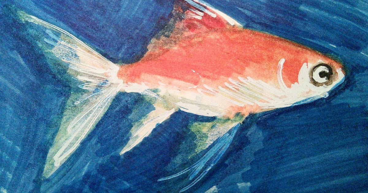 Create A Drawing A Day: Fresh water fish