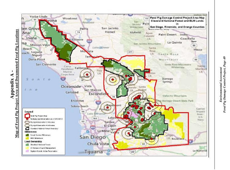 CALIFORNIA HUNTING POST - Wild Boar Hunting in California and Worldwide ...