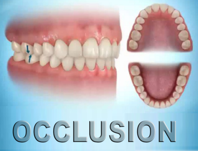Notes for Dental Technicians Notes for Dental Technicians