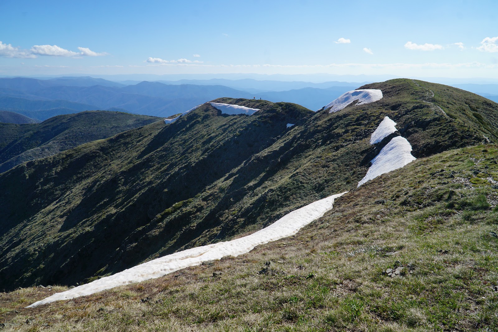 Mt Feathertop via the Razorback (Alpine NP) ~ The Long Way's Better